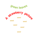 Hair Transplant Trypophobia: The Fear of Holes on the Scalp